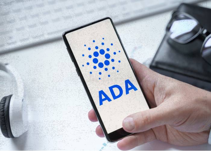 Cardano Plans for 2022: The Basho Phase | CoinsPaid Media Cardano Plans for 2022: The Basho Phase | CoinsPaid Media