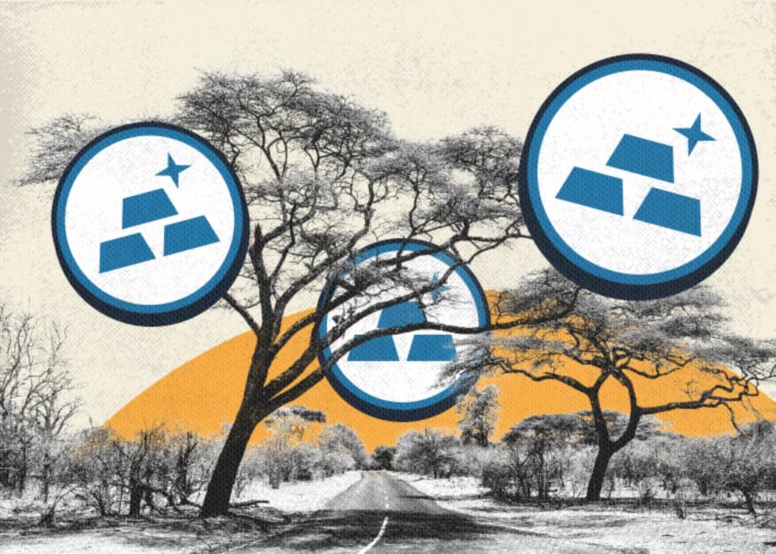 Zimbabwean Gold-Backed Tokens in Demand Zimbabwean Gold-Backed Tokens in Demand