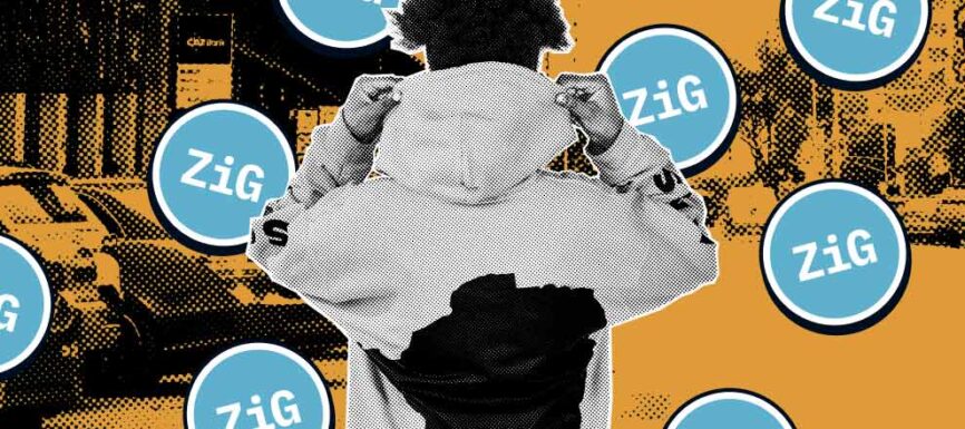 ZiG reconocido como medio de pago oficial en Zimbabue